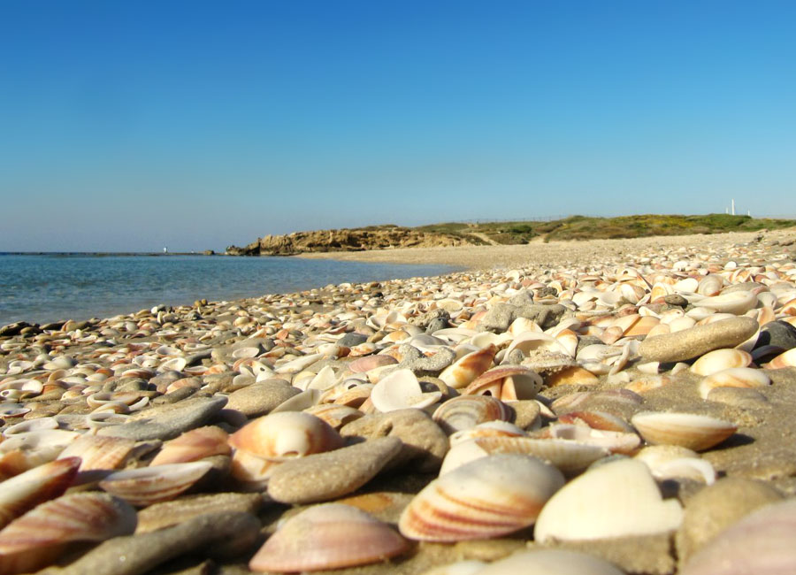 Located in Mikhmoret, Israel | The Resort Hostel