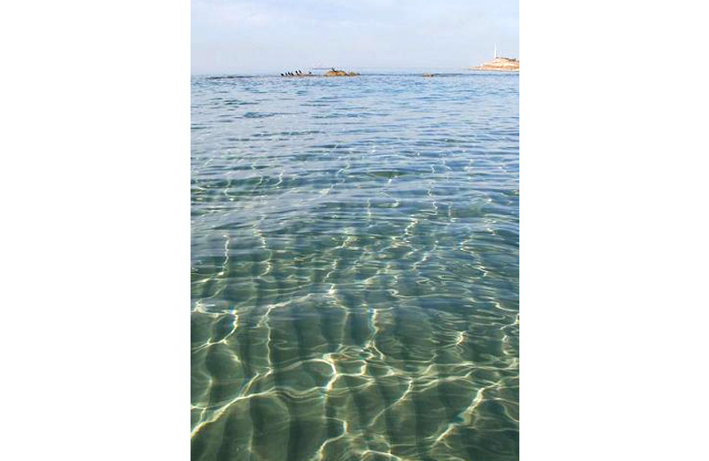 Israel Best Beaches | Mikhmoret & Beit Yanai Beach | The Resort Hostel