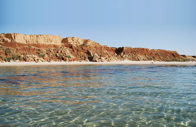 Israel Best Beaches | Mikhmoret & Beit Yanai Beach | The Resort Hostel
