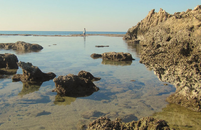 Israel Best Beaches | Mikhmoret & Beit Yanai Beach | The Resort Hostel